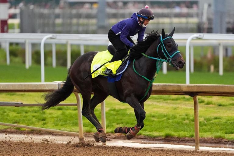 Horse racing in Japan is on the rise. A Kentucky Derby winner could be next