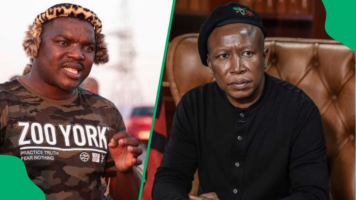 Ngizwe Mchunu responds after Julius Malema demands apology and R1m: "I ...