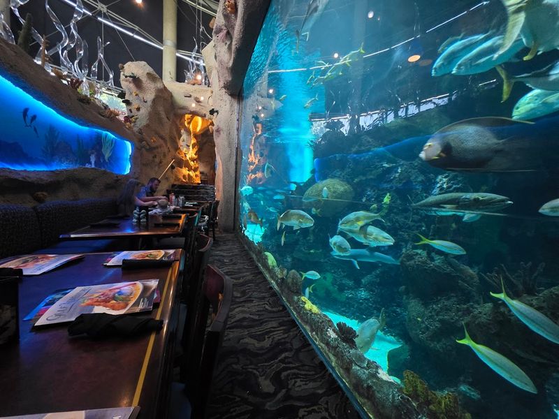 This Colorado seafood and sushi eatery lets you dine beside massive ...