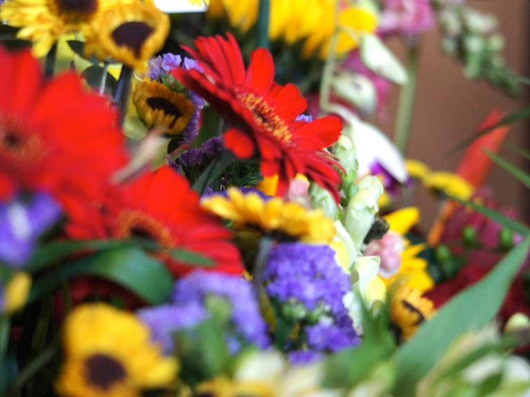 Blooming Fest to celebrate 25 years in West Chicago