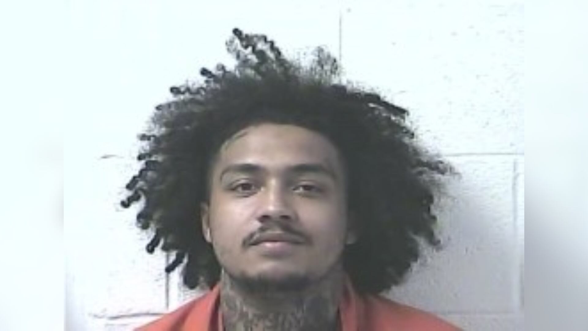 Armed felon facing multiple charges after running from deputies in ...