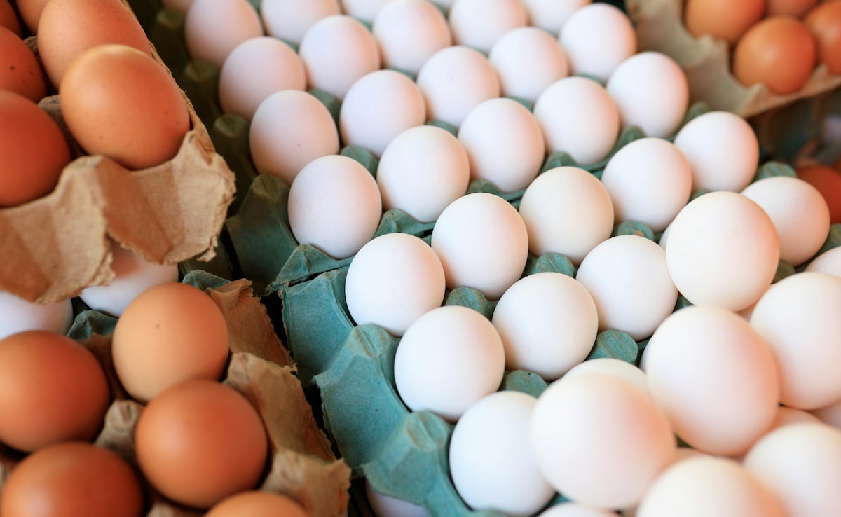 Egg benefits in summer: गर्मी में अंडे खाने के 7 जबरदस्त फायदे, जानकर ...