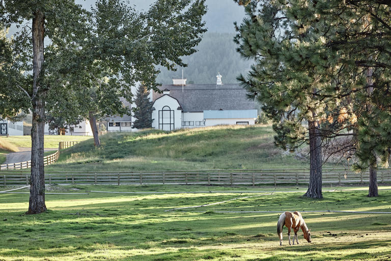 The real 'Dutton Ranch': Inside the ranches your favorite 'Yellowstone ...