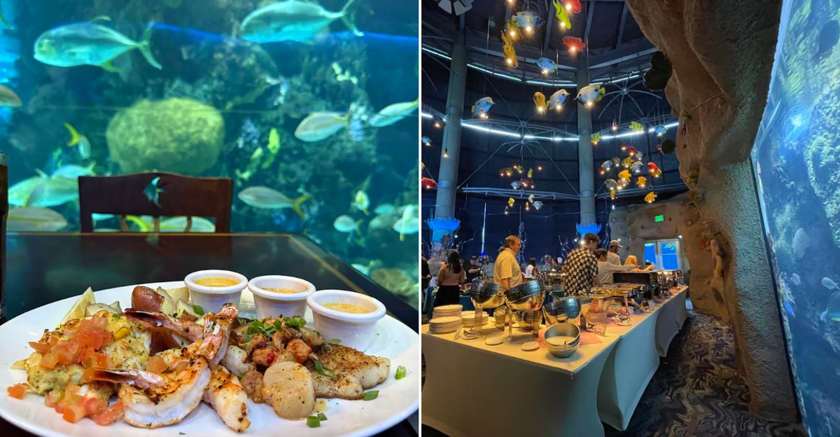 This Colorado seafood and sushi eatery lets you dine beside massive ...