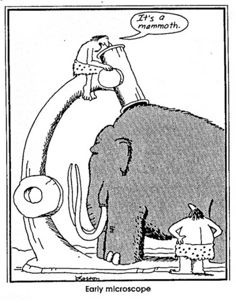 The 10 funniest The Far Side comics with cavemen