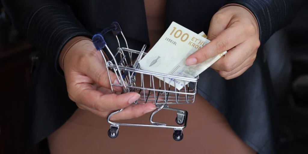 Fødevarecheck på 5.000 kroner er på vej: Pengene kan række længere i ...