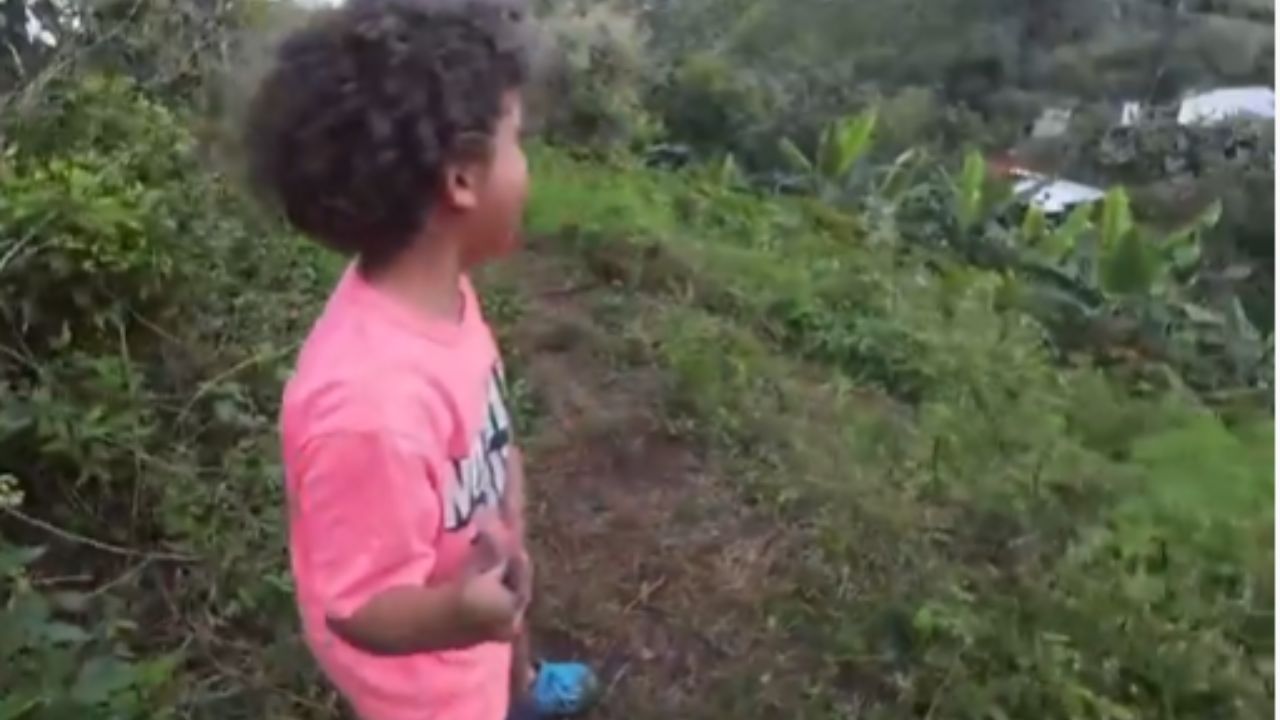 Hiker runs for safety after hen pecking on a mountain path