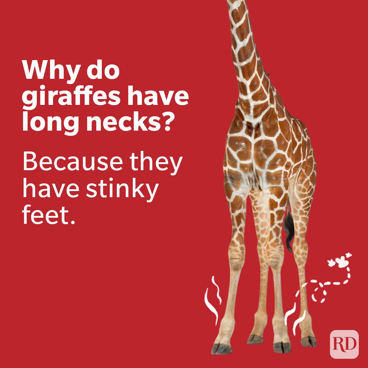 113 best jokes of all time