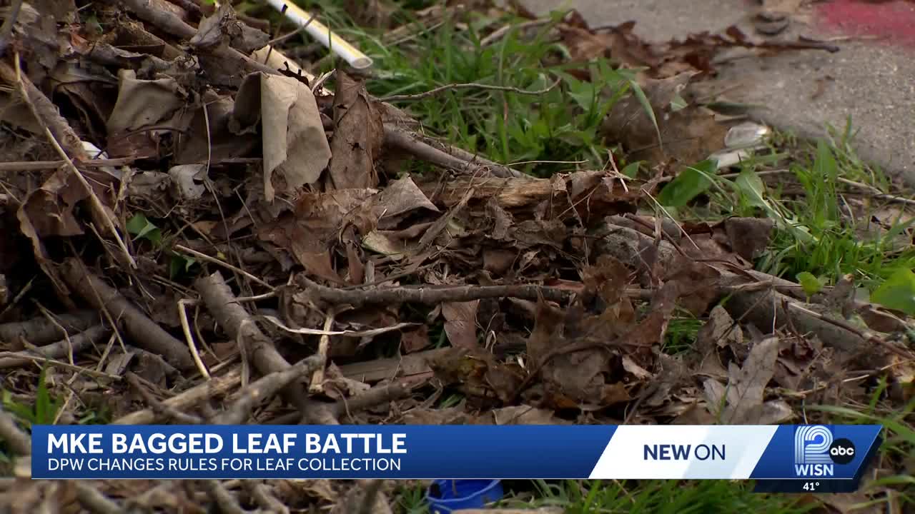 MKE bagged leaf battle