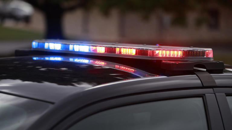 Woman crashes car into tree after being stabbed in Southfield, police say