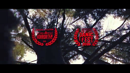 Pitfall trailer (2026)