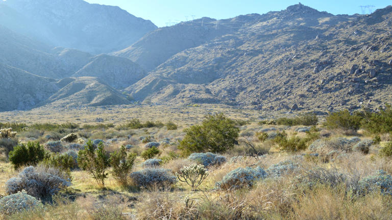 Dozens of hikers fall ill along Pacific Crest Trail in California