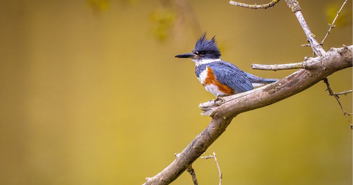 This small-town state park in Kentucky feels like a local secret