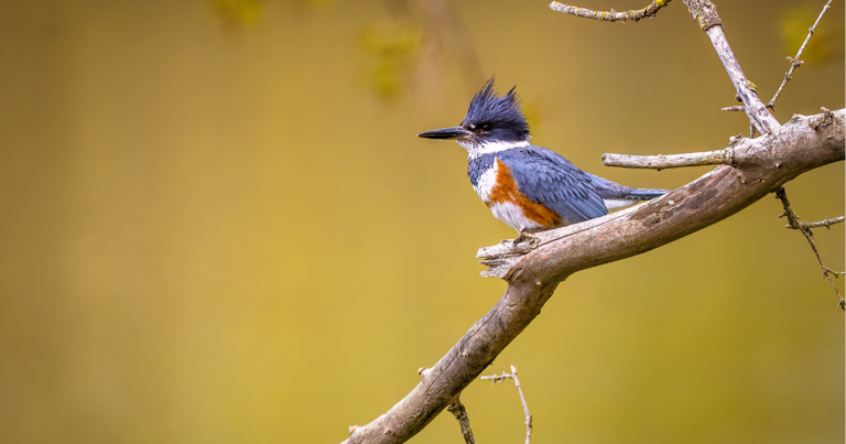This small-town state park in Kentucky feels like a local secret
