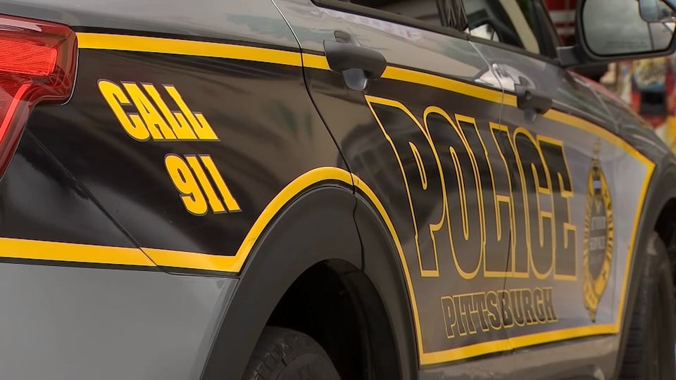 Pittsburgh teen suspected of breaking into over 100 vehicles, stealing ...