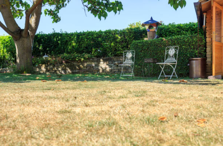 Metro Vancouver moves to strict water restrictions on May 1, Stage 3 ...