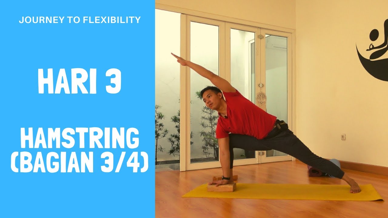 Hari 3 hamstring bagian 3/4 journey to flexibility