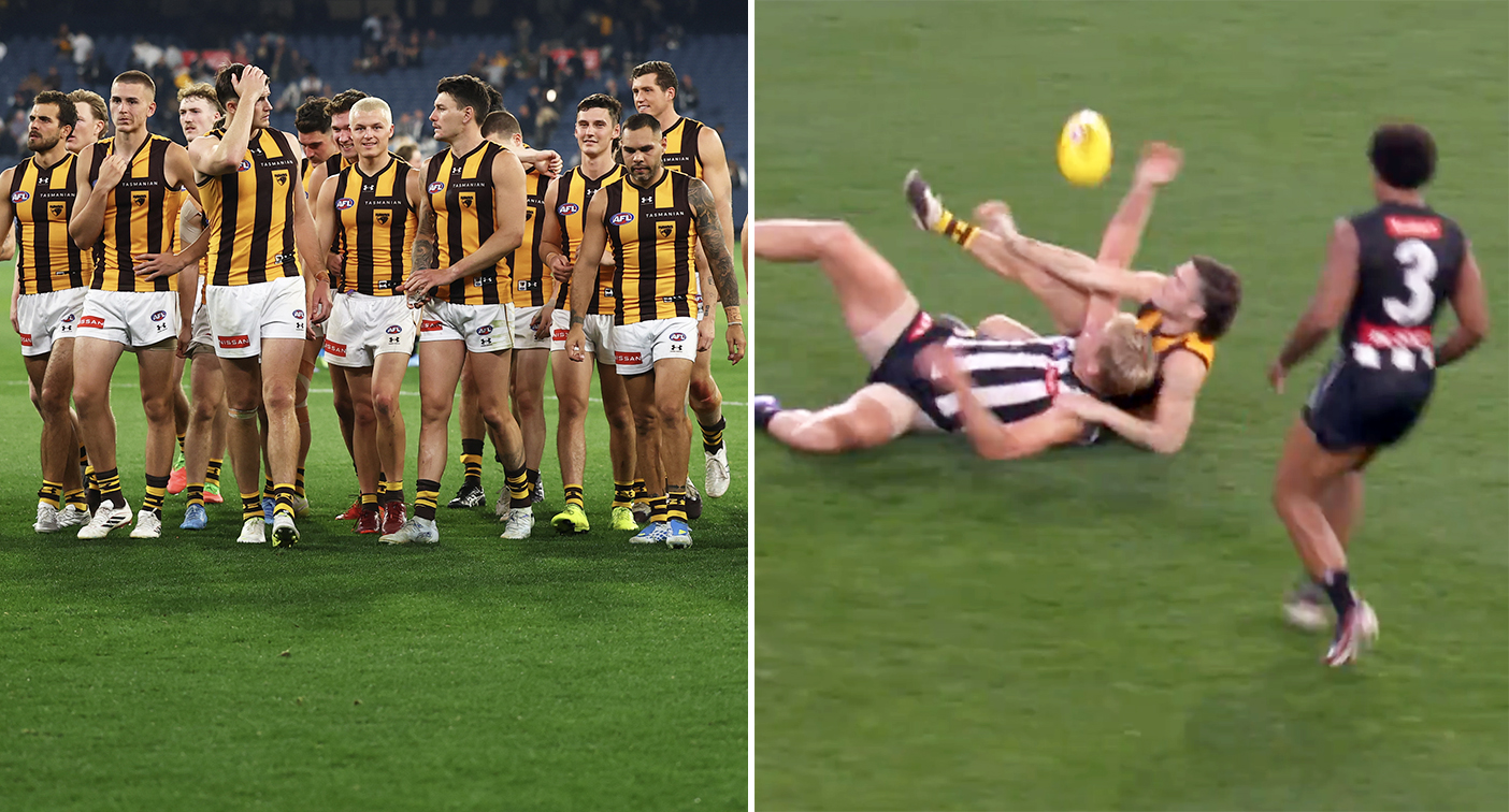 Call made on whether Hawthorn were dudded by controversial late ...