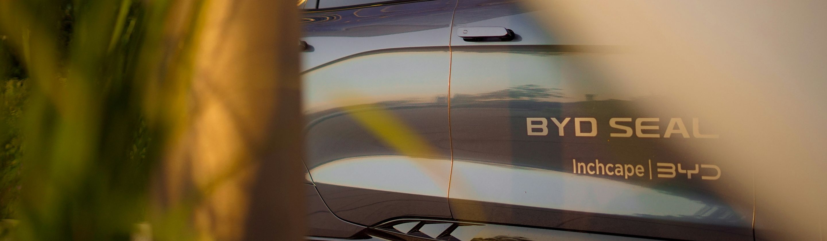 Why China can build cheap EVs and everyone else is panicking
