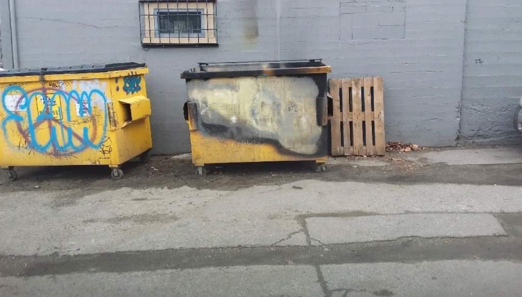 Kelowna business hit hard amid an increase in dumpster fires