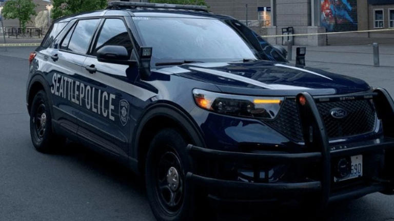 Woman stabbed in head near South Seattle College