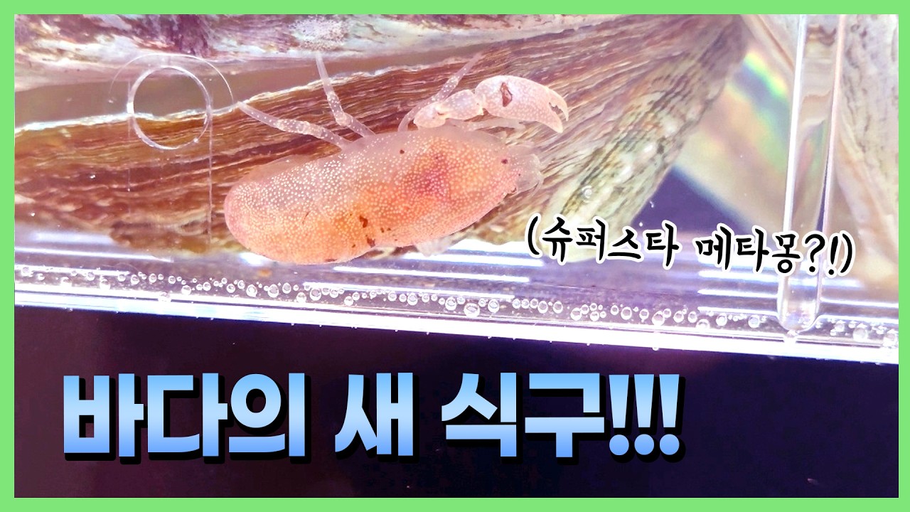 별의 별 일이 다 있네요
