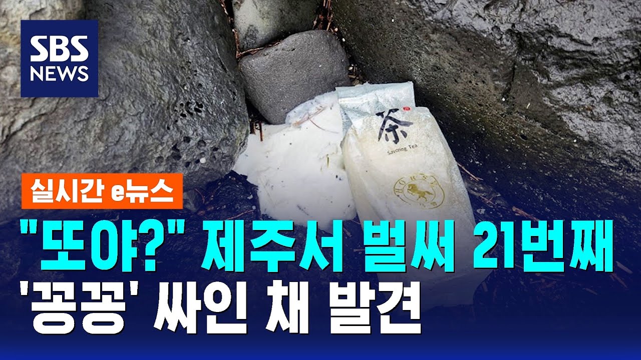 또야? 제주서 벌써 21번째.. 꽁꽁 싸인 채 발견 / SBS / 실시간 e뉴스