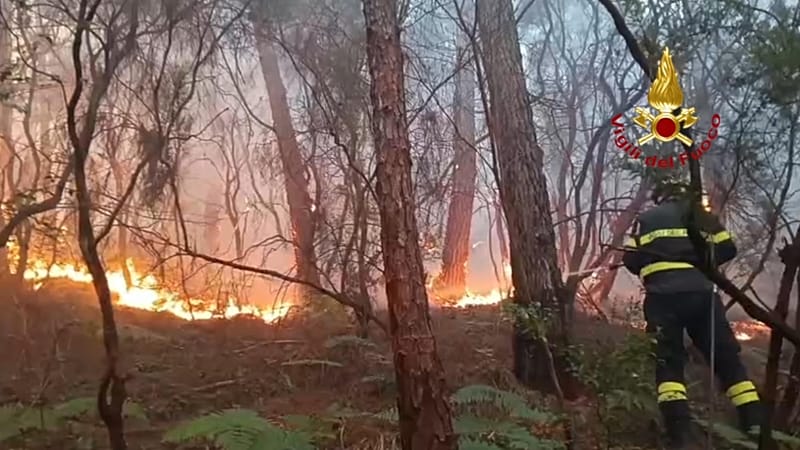 Ιταλία: Η πρώτη μεγάλη πυρκαγιά του έτους στην Τοσκάνη, στάχτη ...