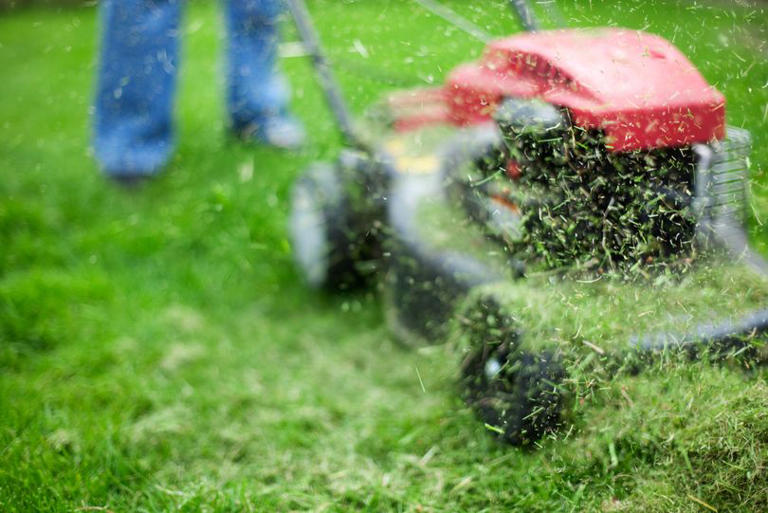 Households urged not to cut grass all month for 'No Mow May'
