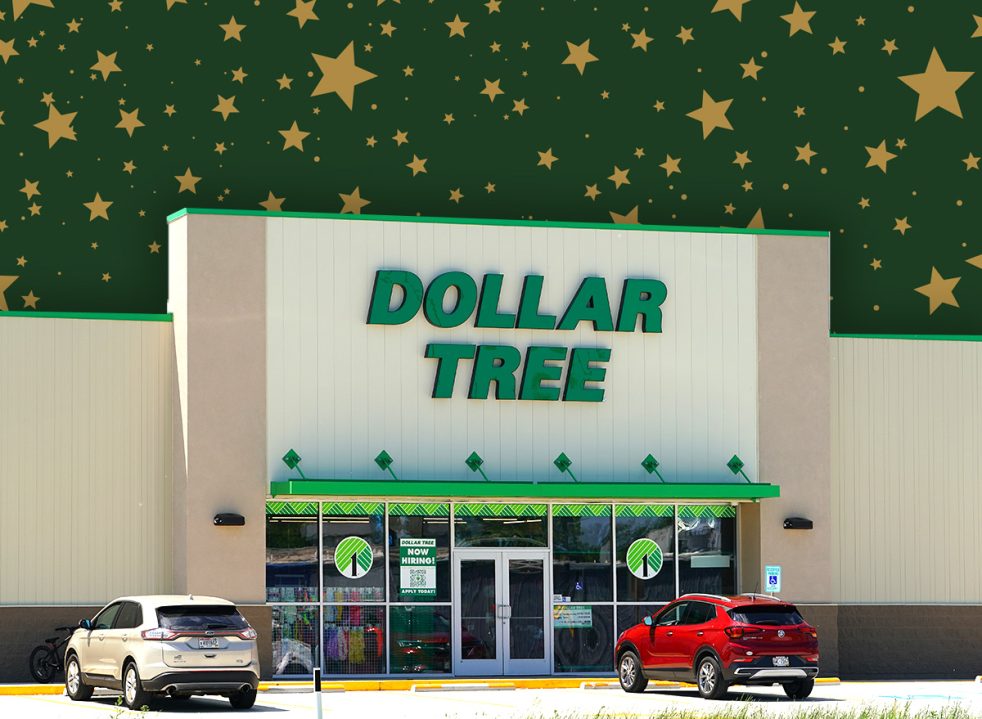 11 best Dollar Tree decor finds hitting shelves this week