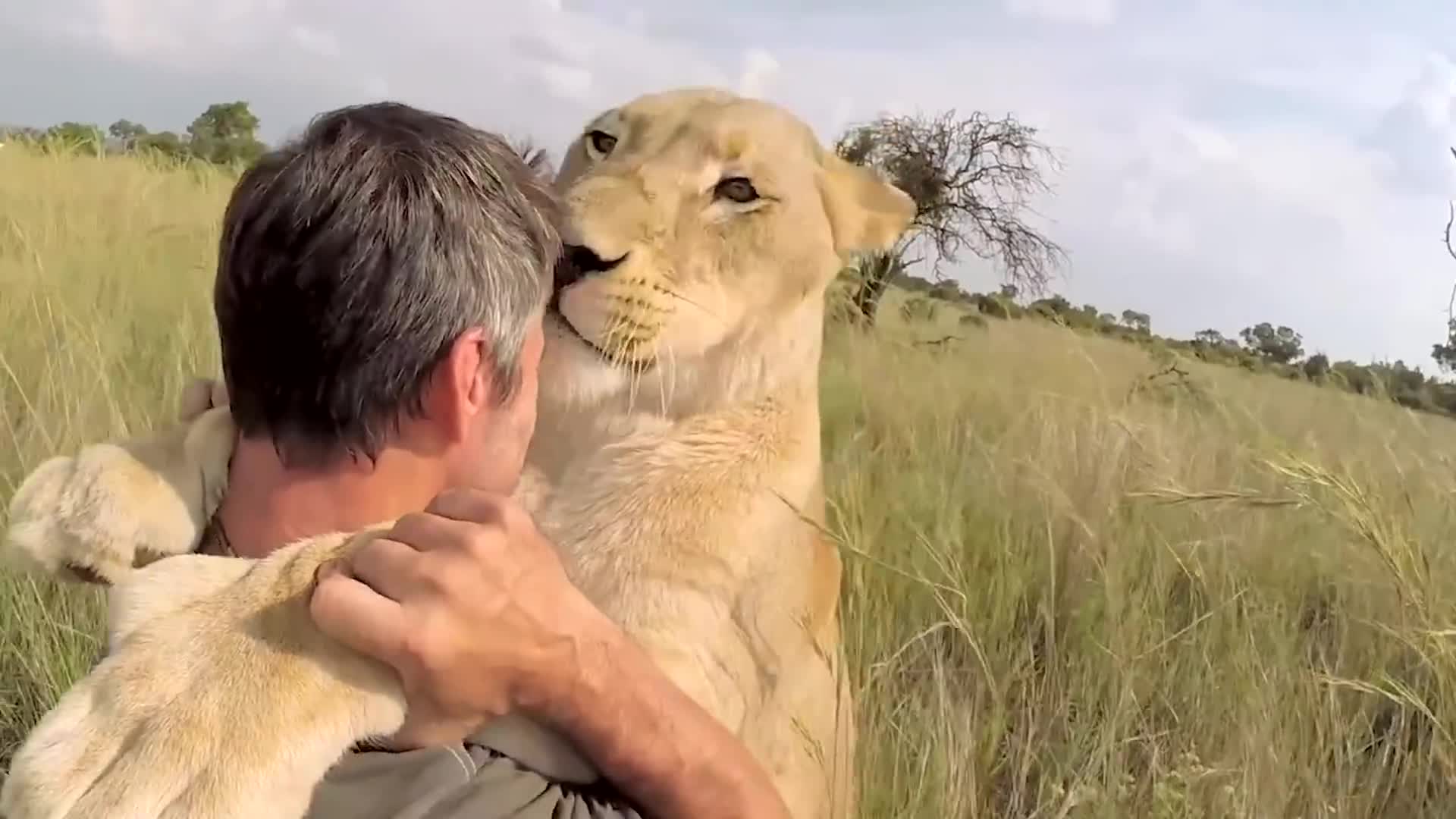 10 year reunion with lion and the Lion Whisperer