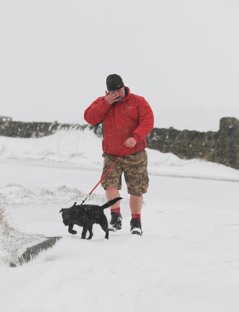 32 things the internet has declared as basic white guy culture