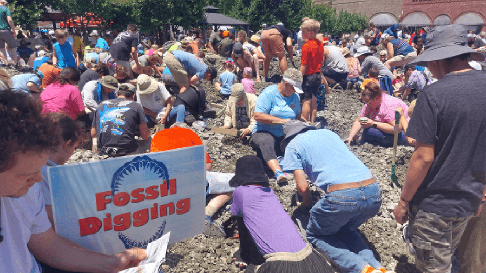 Thousands expected for 2026 North Carolina Fossil Festival in Aurora