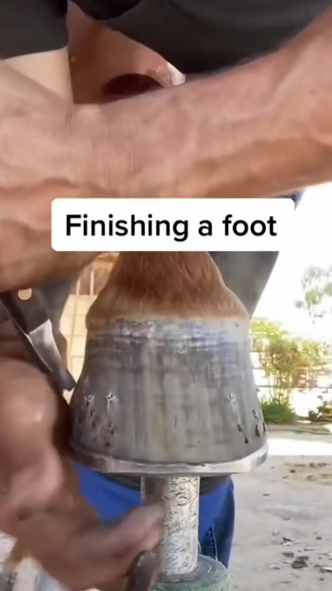 Farrier focus: Satisfying hoof cleaning you can’t stop watching