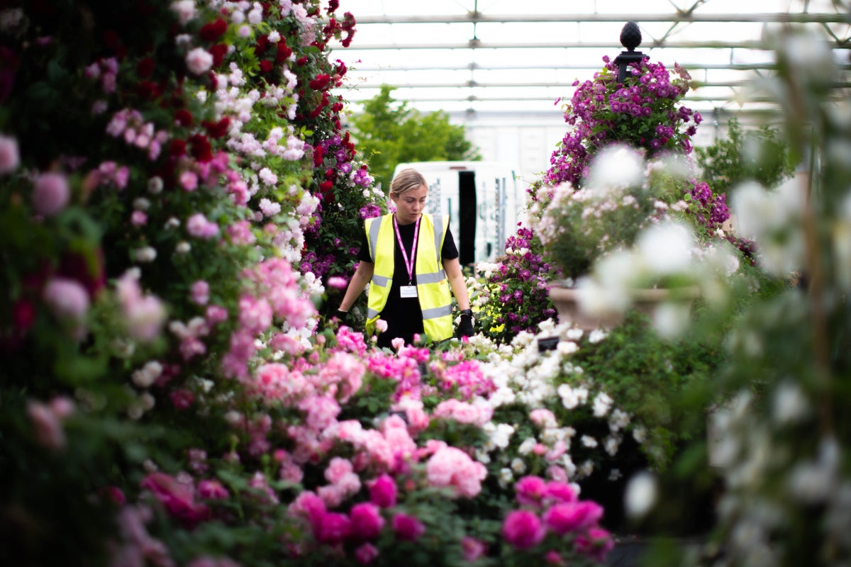 What goes on behind the scenes at RHS Chelsea Flower Show