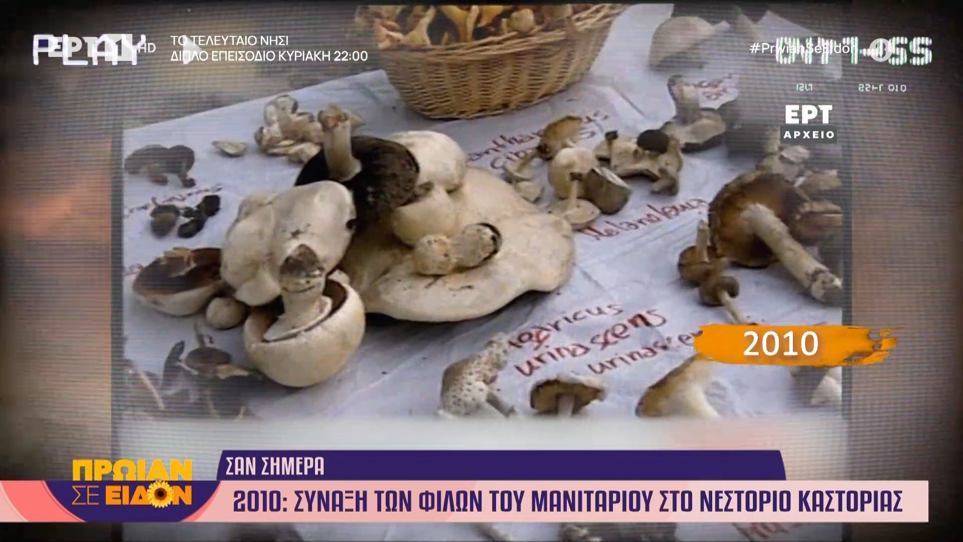 1 Μαΐου 2010: Σύναξη των φίλων του μανιταριού στο Νεστόριο Καστοριάς