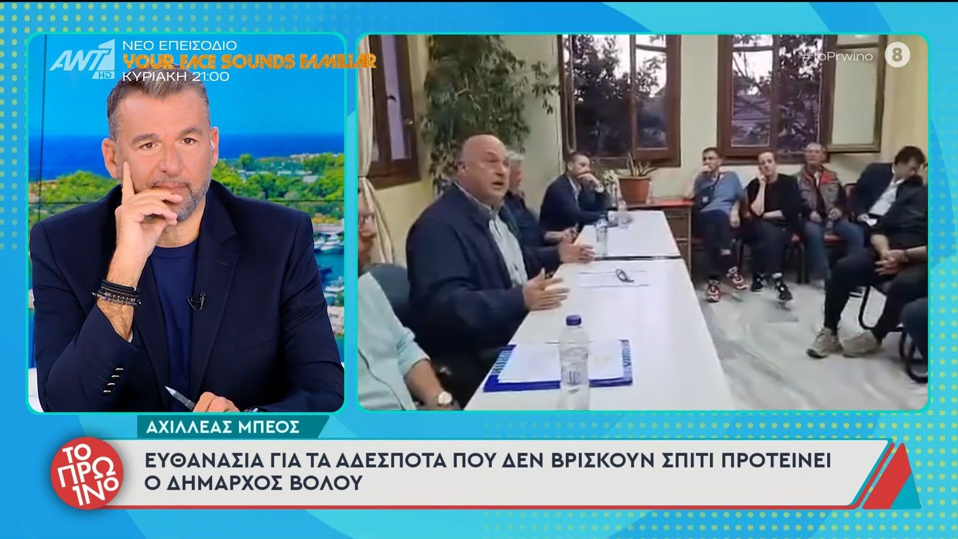 Αχιλλέας Μπέος: Ευθανασία για τα αδέσποτα που δεν βρίσκουν σπίτι ...