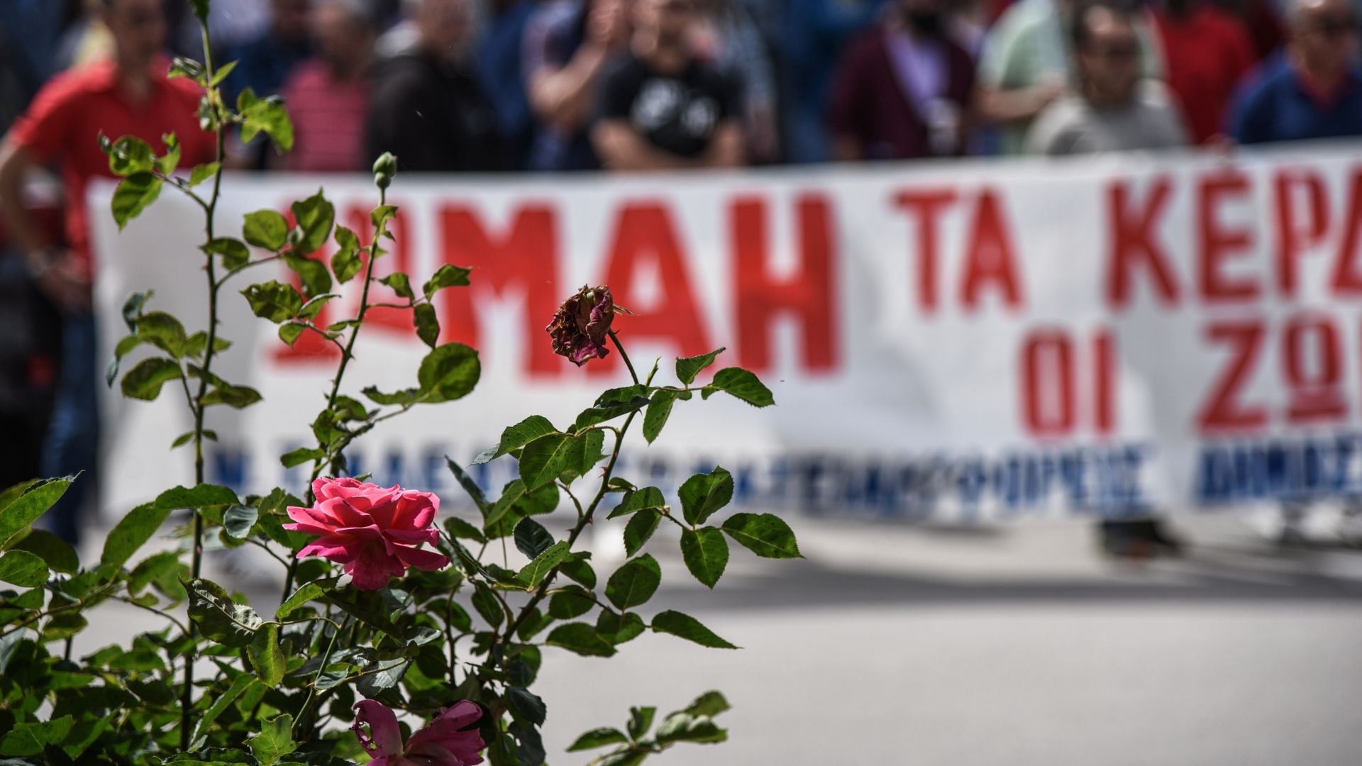 Πρωτομαγιά: Από το αίμα του Σικάγο στο μαγιάτικο στεφάνι μιας ...