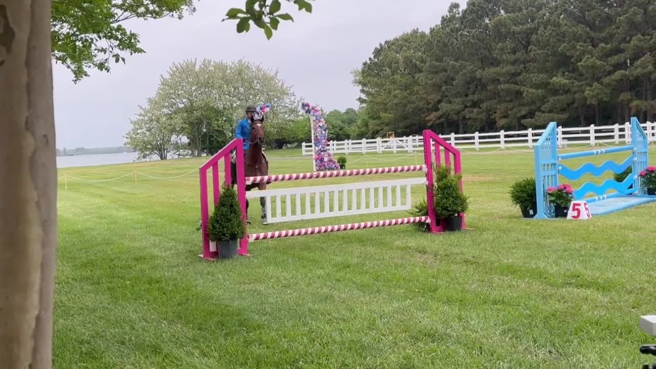 Rider falls after horse hits obstacle during jump in Easton, Maryland, USA