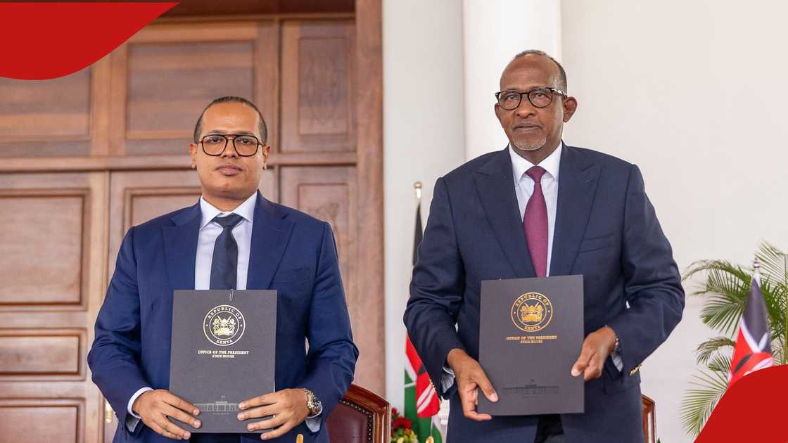 Tanzanian tycoon to invest KSh 4.5 billion in building 10 level 4 ...