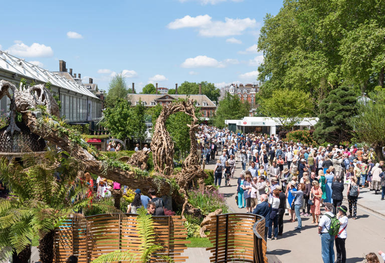 Chelsea Flower Show: Behind the scenes secrets of top garden designers