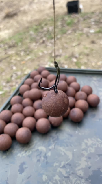 The carp rig setup every angler should know