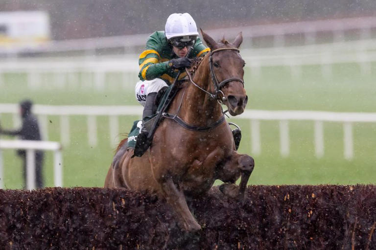 Punchestown Festival 2026 day 4 full race card and tips - list of ...