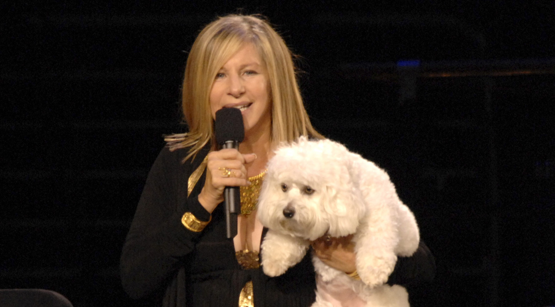 Estas celebridades han clonado a sus perros (y cómo funciona)