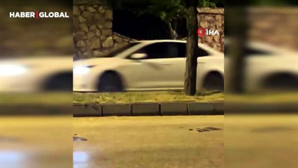 Elazığ'da aç kalan tilki tavuğu böyle götürdü