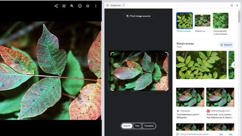 11 essential Google Lens hacks every Android user needs to know