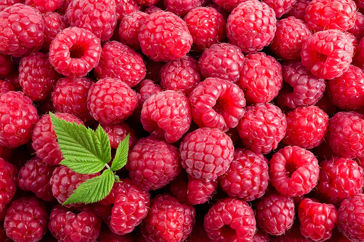Dietitians reveal the one fruit best for managing blood sugar