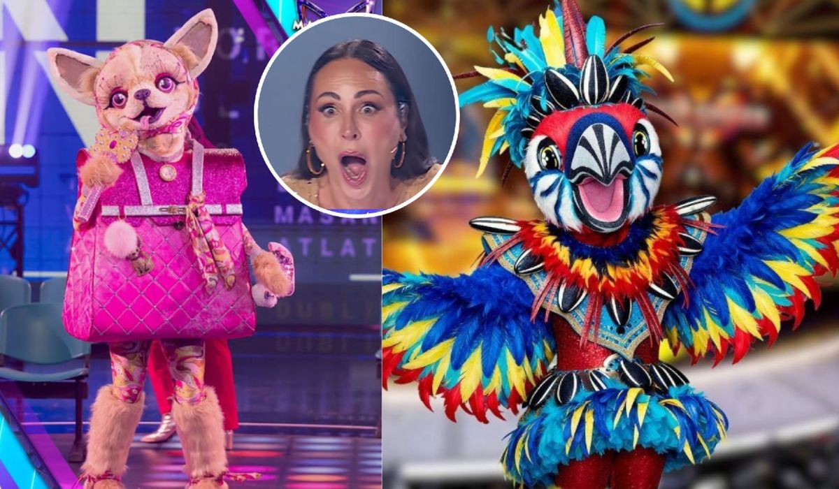 Los desenmascarados de 'Mask Singer' ayer: Chihuahua era una política y ...