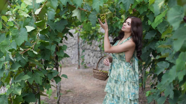 Grape harvest festival returns to Twin Lakes alongside Mother’s Day events