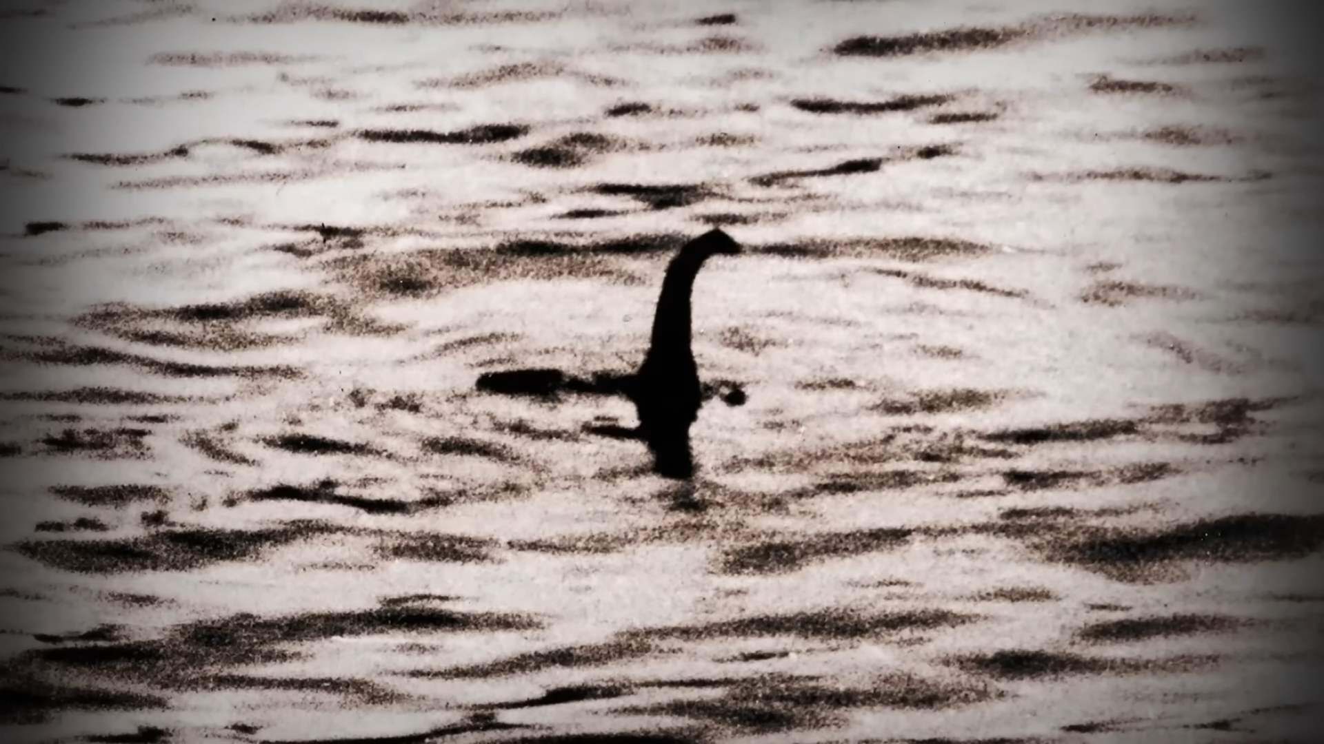Caught on camera - the cryptid encounters that fueled global panic